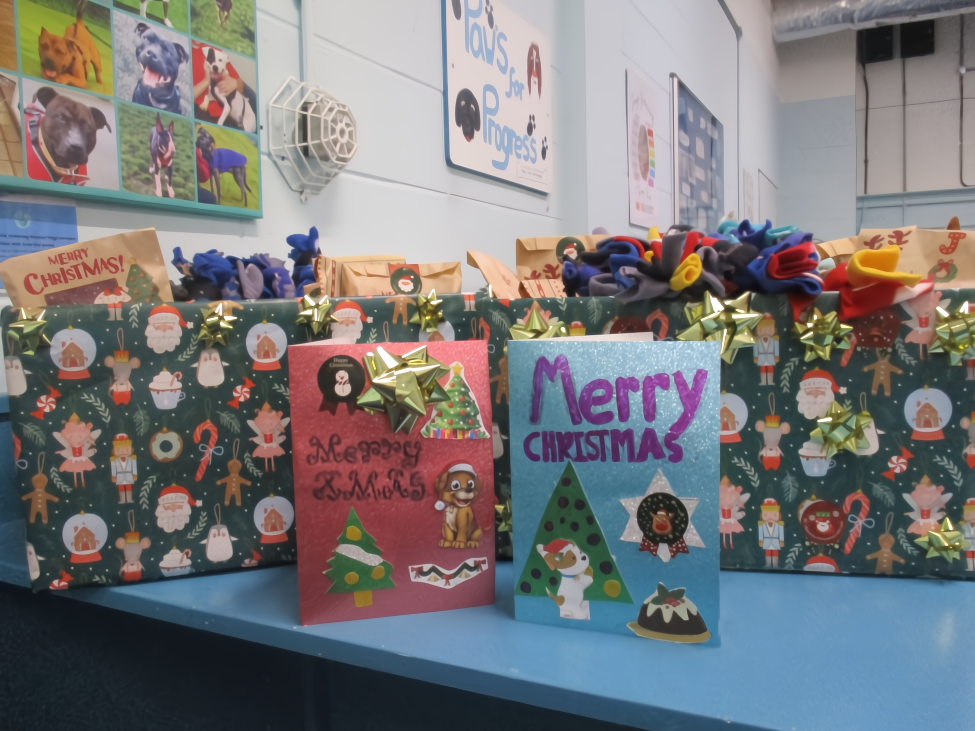 HMP Polmont donate Christmas boxes to dogs in need | Scottish Prison ...